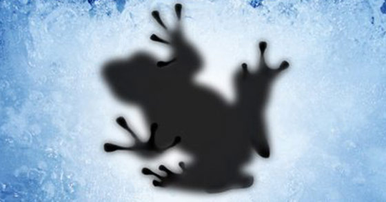 DOTA 2 Icefrog: 6.85 will soon be here - TGG